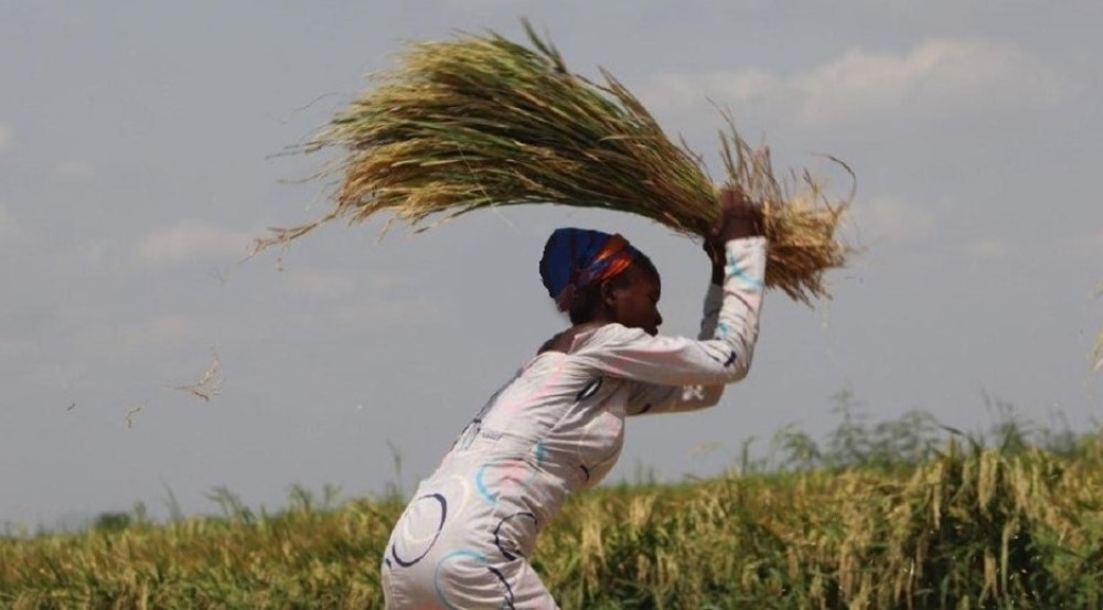 Derribando Fortalezas – Comibam Internacional